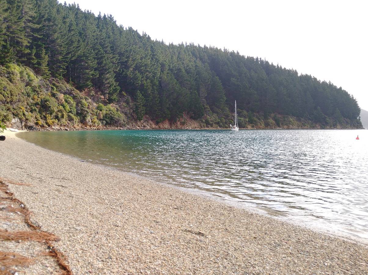 DOUBLE BAY TO BURNEY’S BEACH, QUEEN CHARLOTTE SOUND – The Adventures of ...