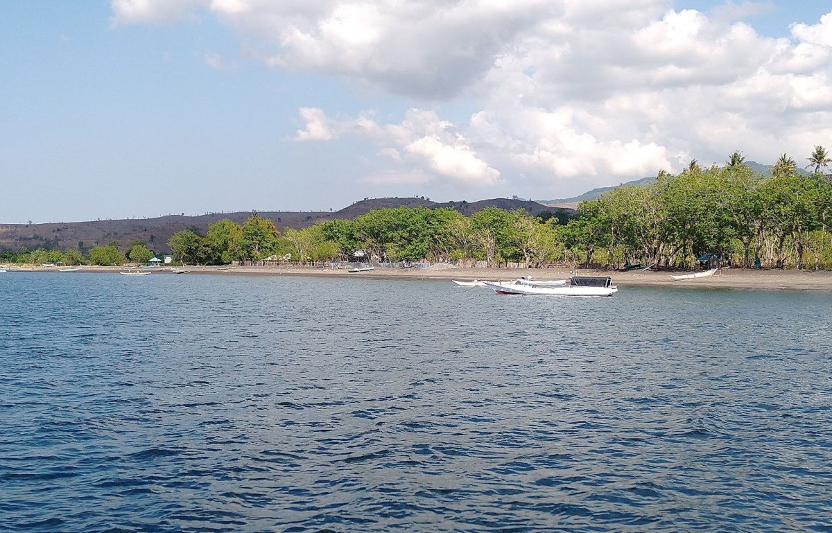 KOMODO DRAGONS – NAH. – The Adventures of Captain Ray Penson